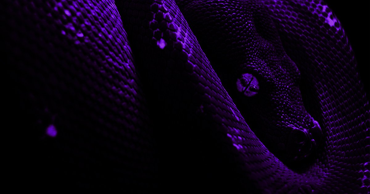 BlackMamba ChatGPT Polymorphic Malware: The Next Wave of AI-Driven Cyberattacks - IT GOAT